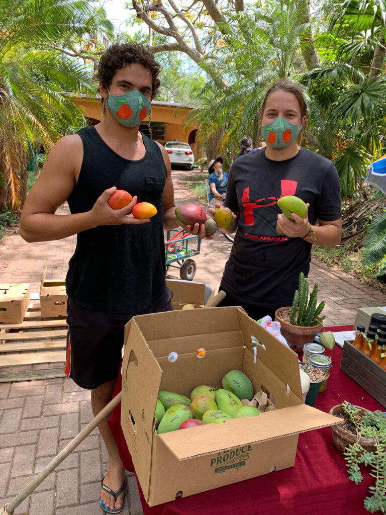 Mango Men Homestead