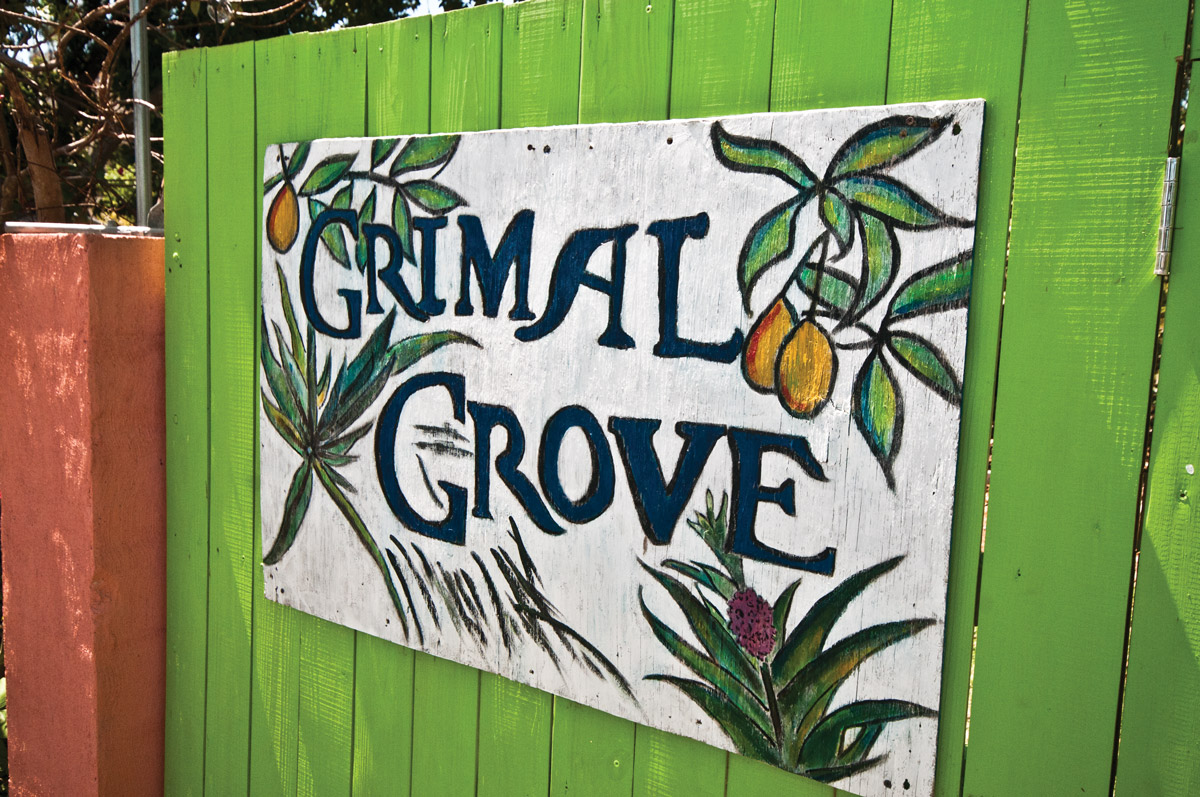 The Fruit Artist: Fritz Barberousse