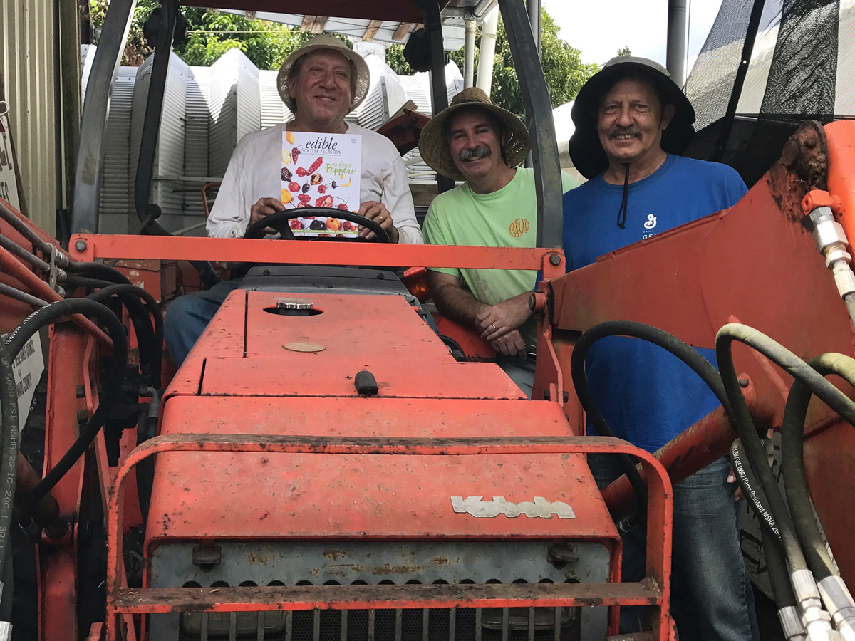 For the Love of Rare Fruits