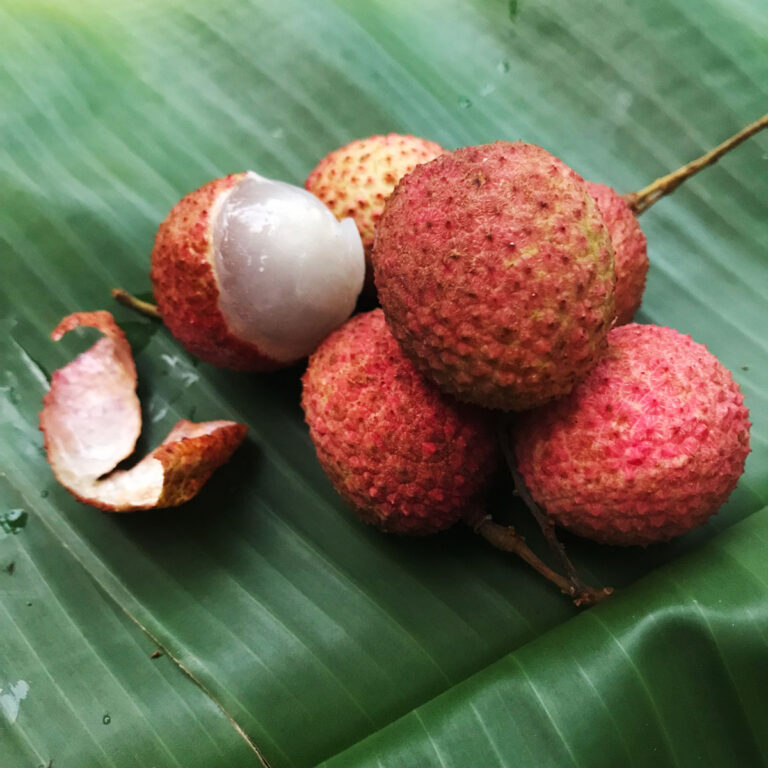 Welcome, Short, Sweet Lychee Season