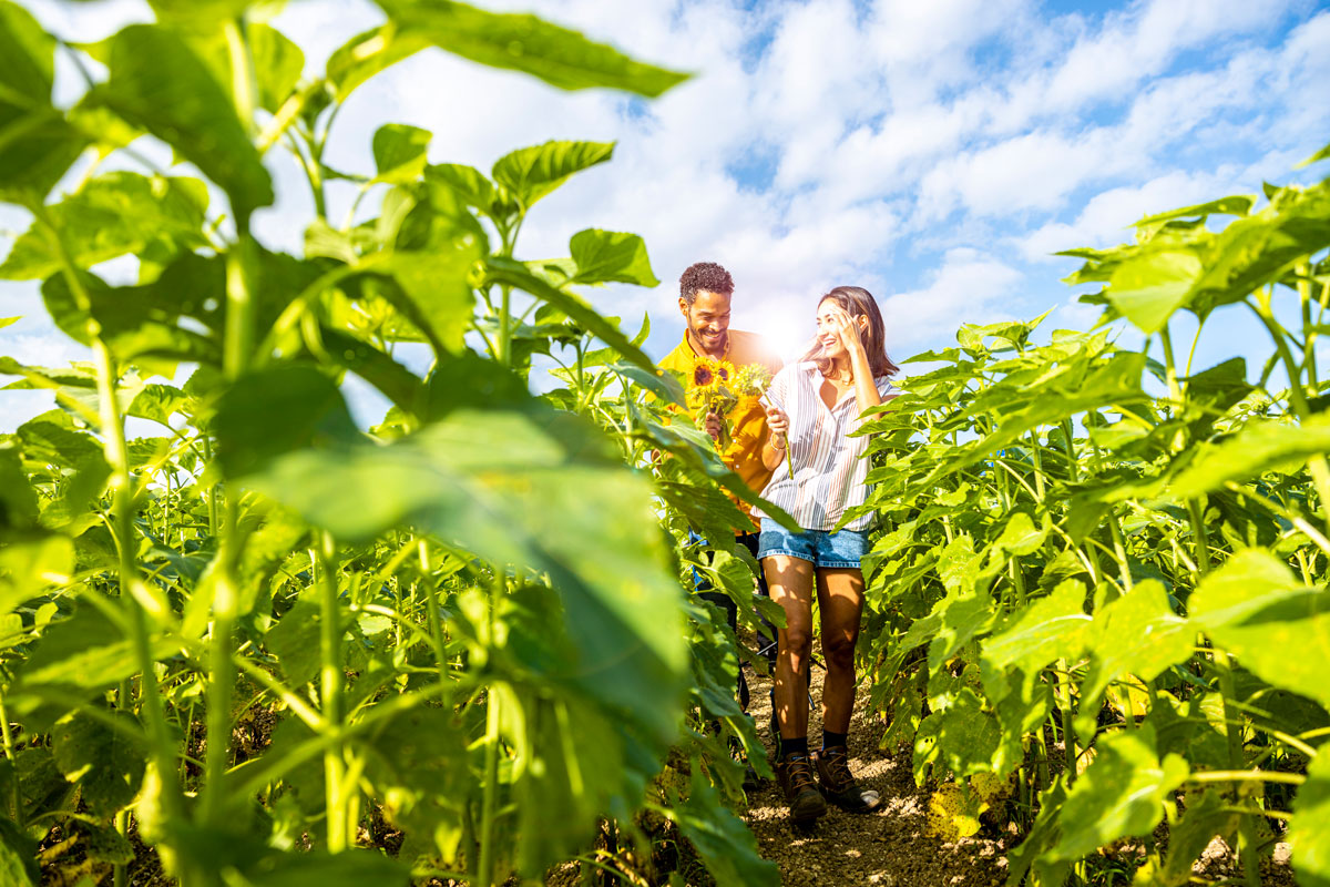 Knaus Berry Farm Reopens in New Location - Edible South Florida